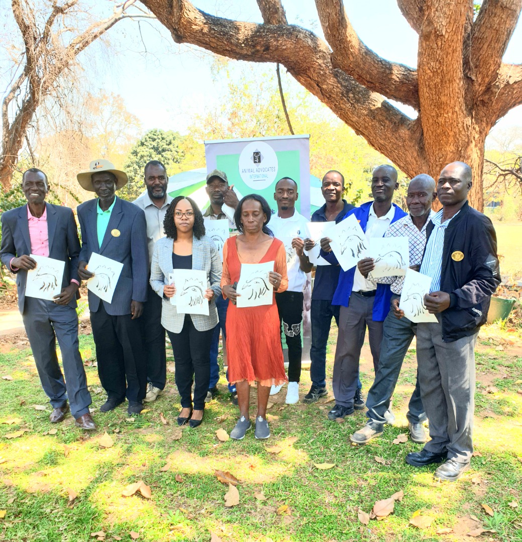 Fight Against Animal Cruelty in Poultry Farming - Animal Advocates ...
